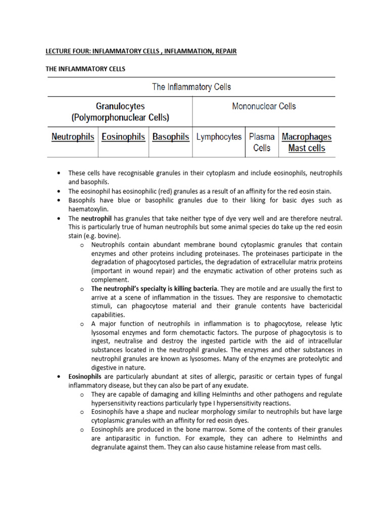 LECTURE Four - Inflammation and Repair (1) | PDF | Wound Healing | Inflammation