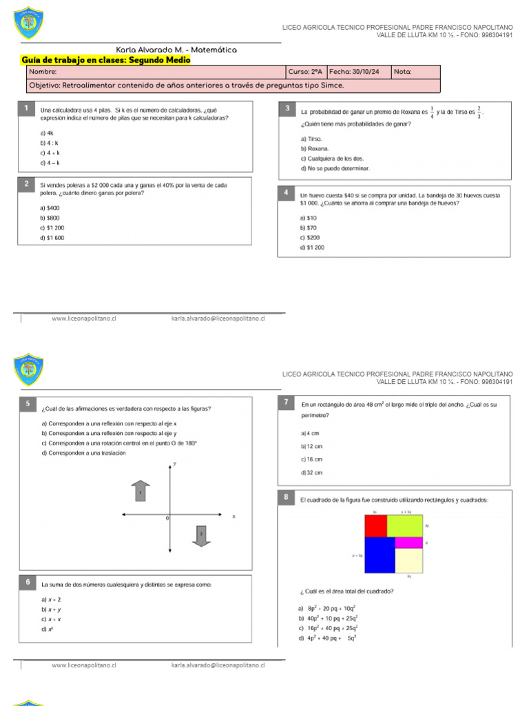 Ensayo Simce 8.docx | PDF