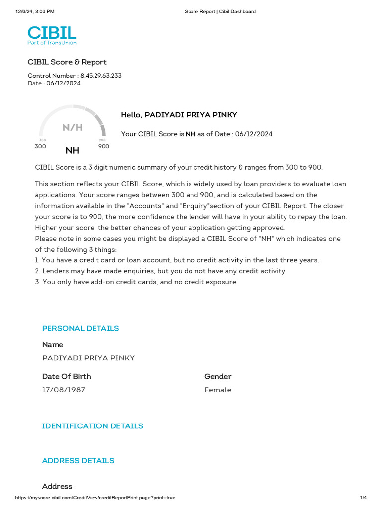 Score Report - Cibil DashboardPINKY | PDF | Loans | Credit