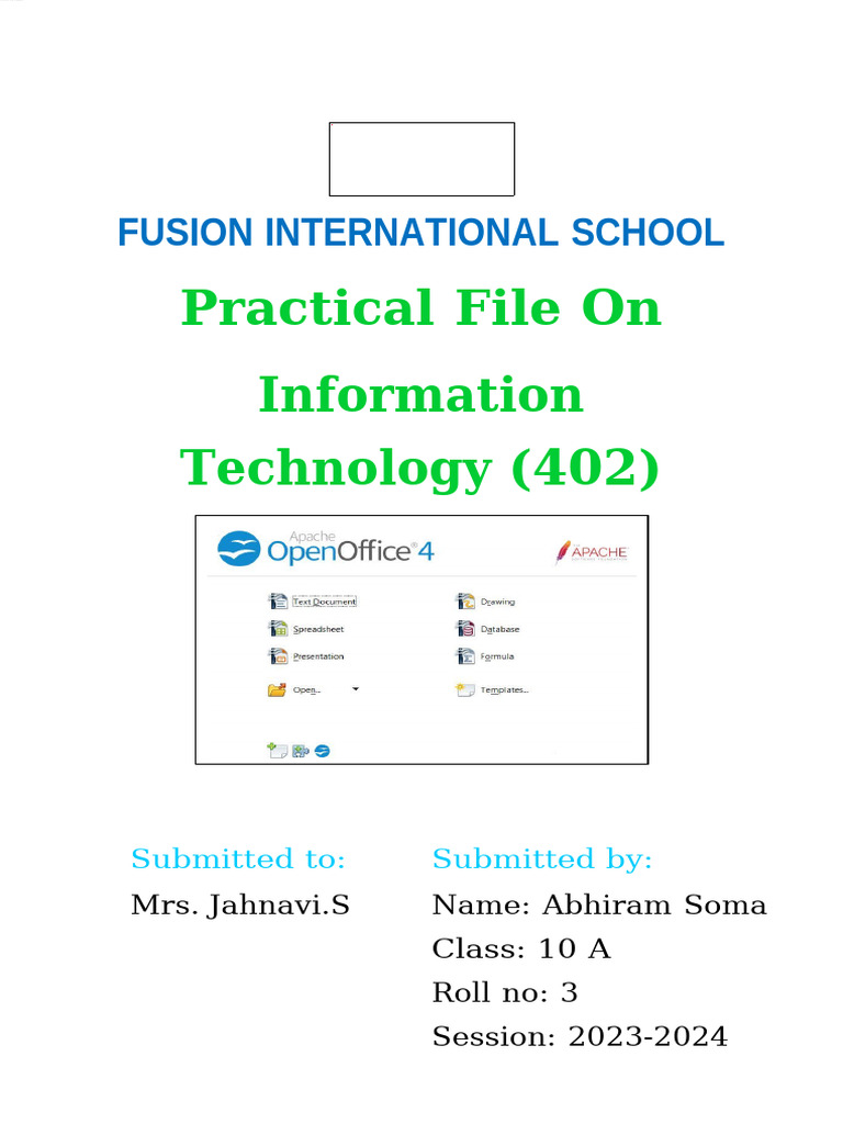 IT Practical File Class 10 SEO | PDF | Spreadsheet | Computing