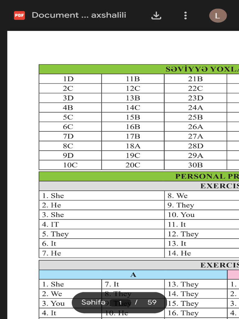 Document From İnci Baxshalili - Google Disk | PDF