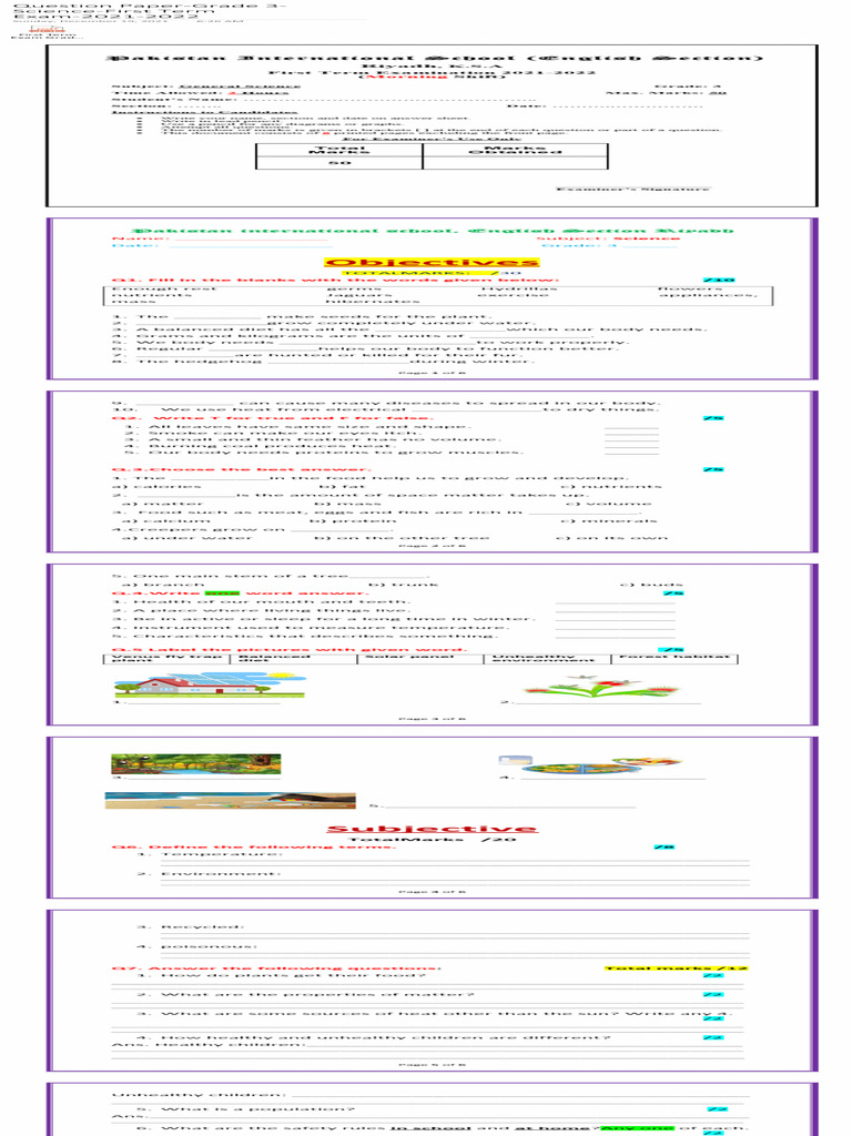Question Paper-Grade 3-Science | PDF