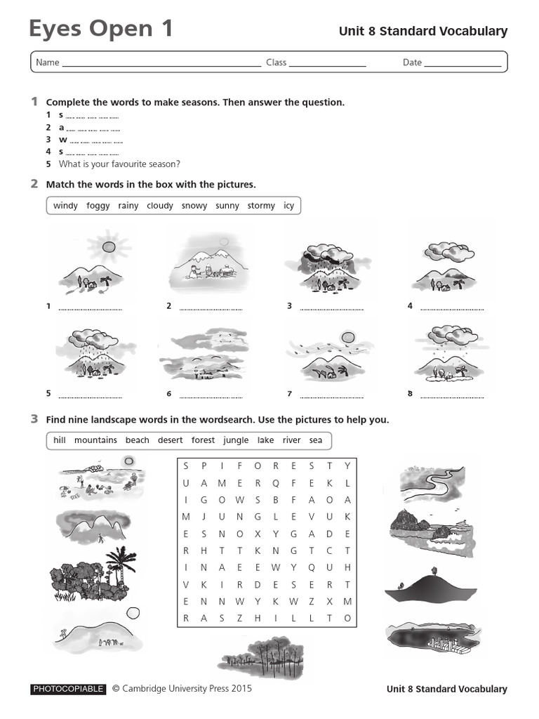 Unit 8 Vocabulary Standard | PDF