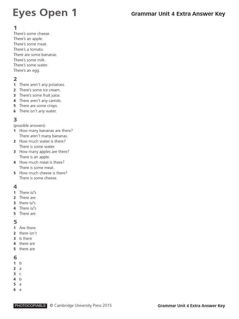 Unit 4 Grammar Extra Answer Key | PDF