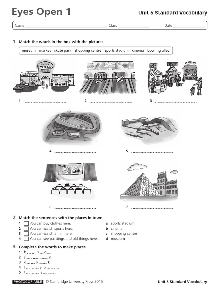 Unit 6 Vocabulary Standard | PDF