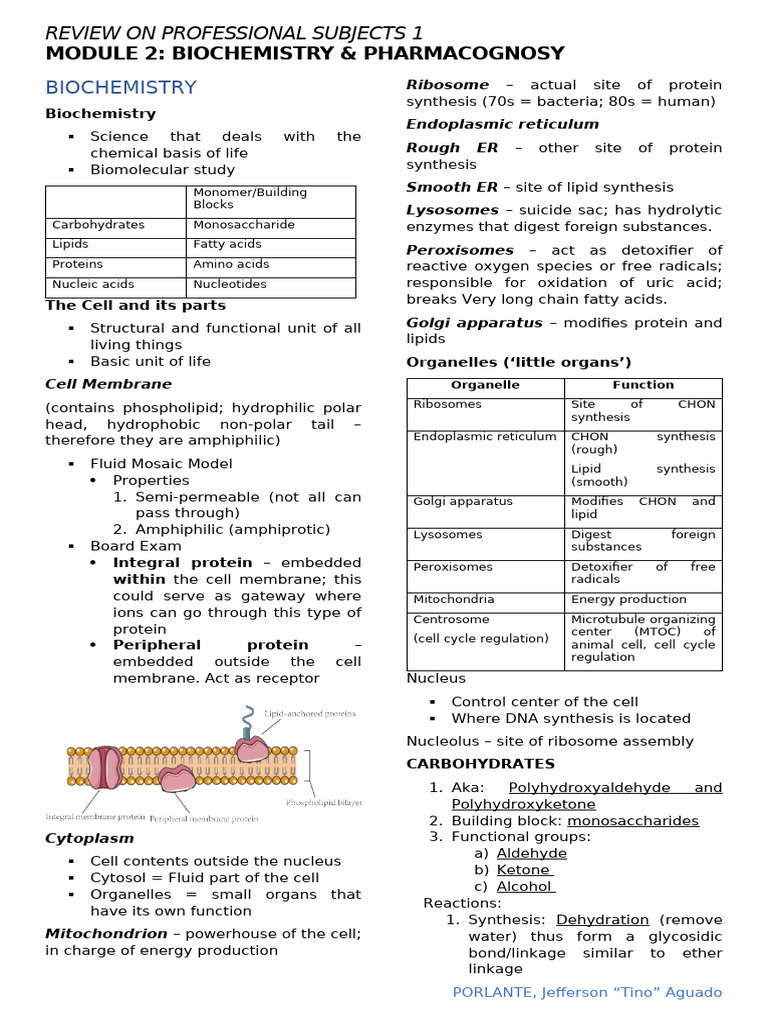 Module-2-Biochem | PDF | Amino Acid | Adenosine Triphosphate