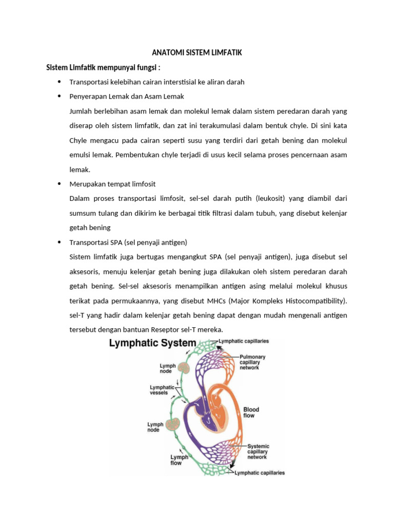 Anatomi dan Fungsi Sistem Limfatik | PDF