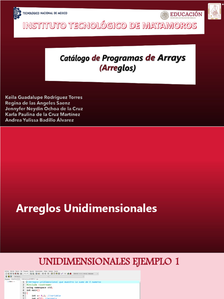 T4 Catálogo de Programas de Arrays | PDF