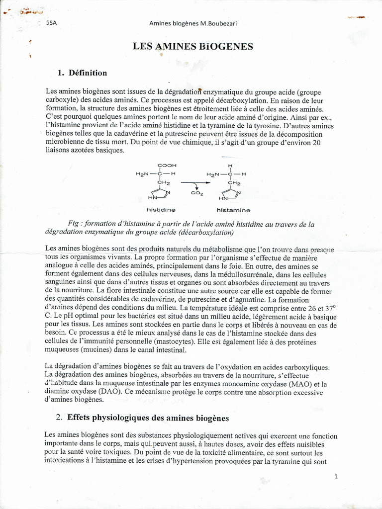 Amines Biogènes | PDF