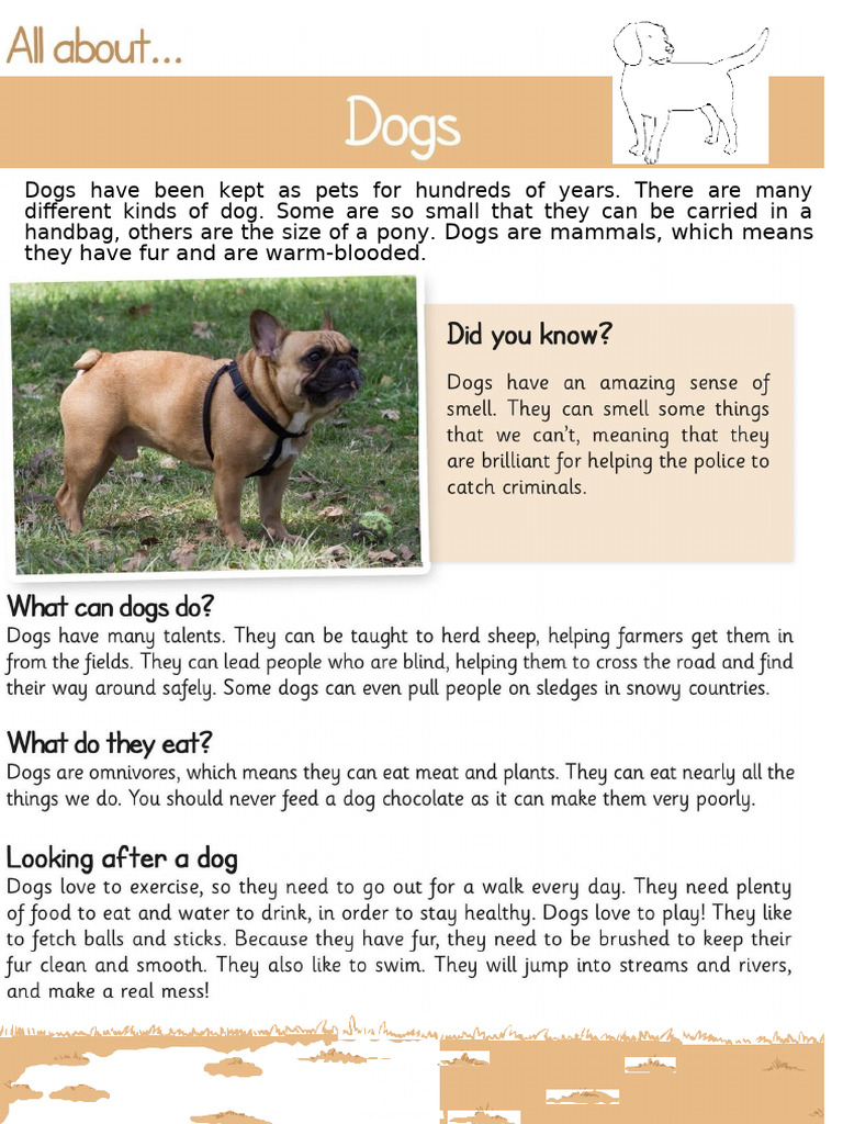 Dogs-Reading-Comprehension Ver 1 | PDF