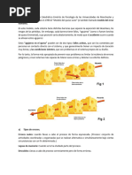 Modelo SHELL Factores Humanos | PDF