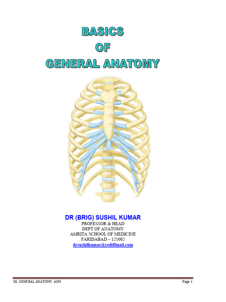 GENERAL ANATOMY | PDF | Anatomical Terms Of Motion | Skin