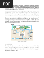 Unsur Nitrogen dalam Kimia dan Fungsinya | PDF