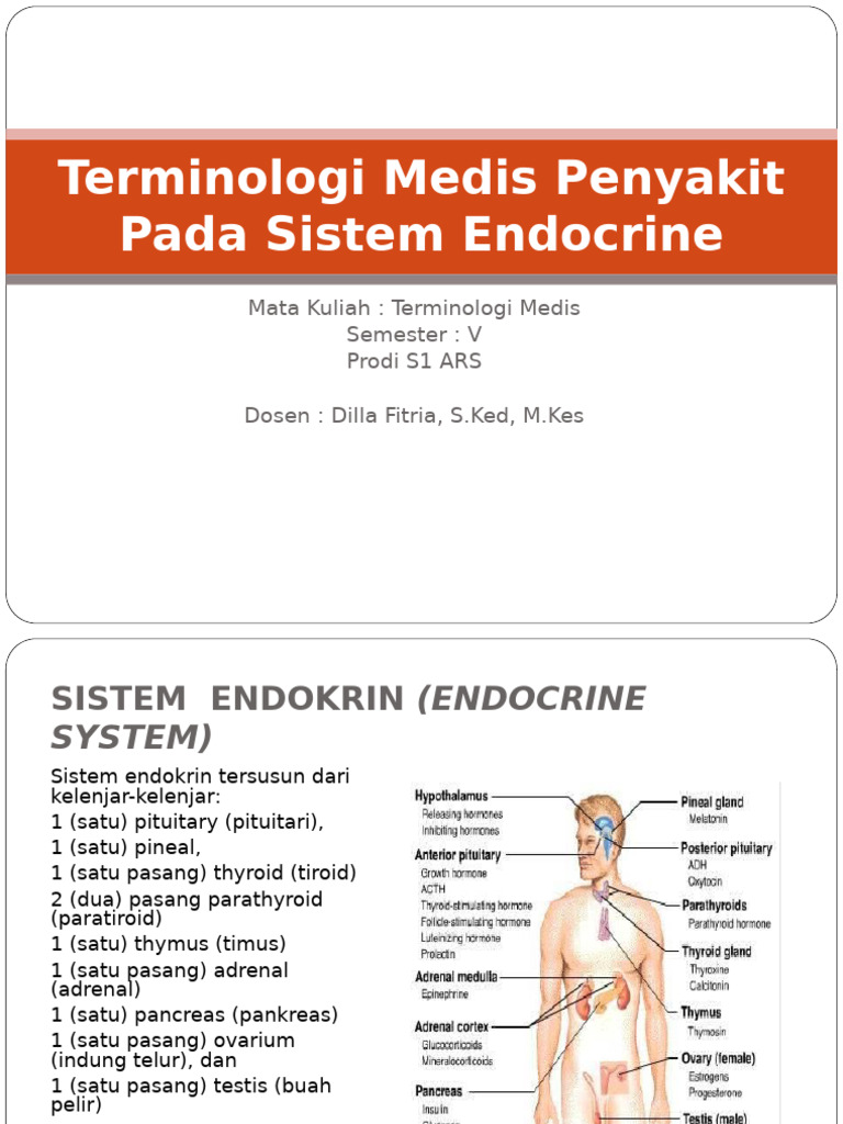 Terminologi Medis Penyakit Pada Sistem Endocrine | PDF
