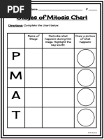Drawing the Phases of Mitosis | PDF