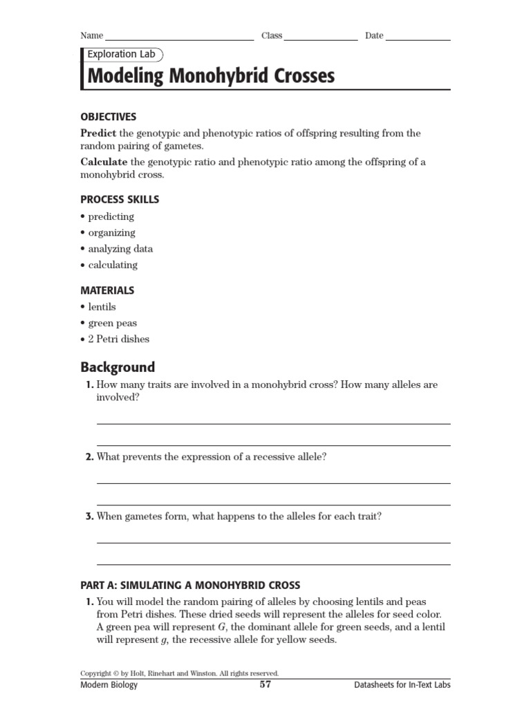 Modeling Monohybrid Crosses | PDF | Genotype | Dominance (Genetics)