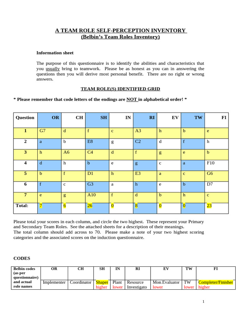 LD6080 Belbin's Team Roles Inventory | PDF | Extraversion And ...