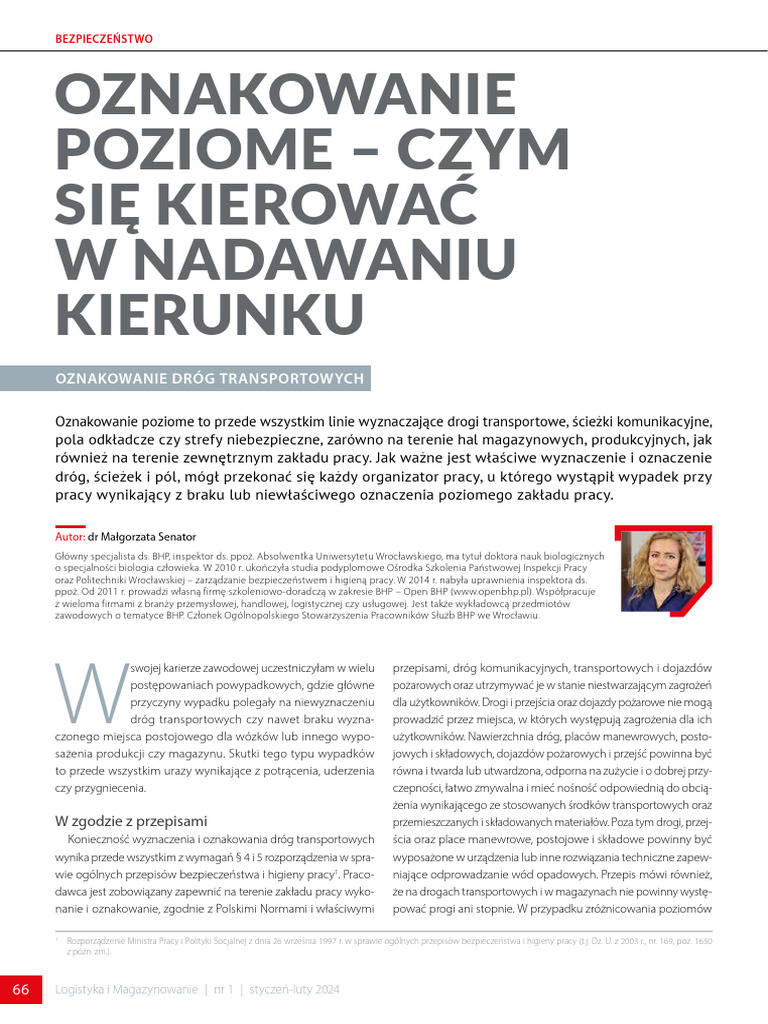 Oznakowanie Poziome - Czym Się Kierować W Nadawaniu Kierunku | PDF