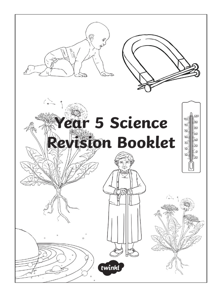 Year 5 Science Topic Revision | PDF | Earth | Orbit