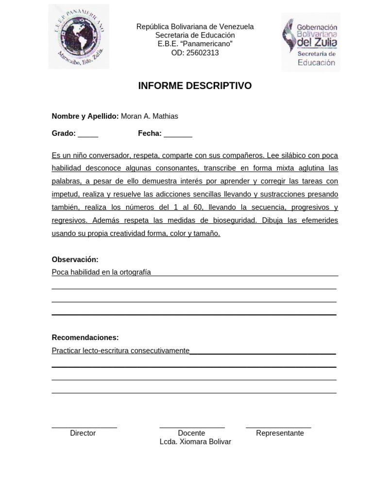 Informe Descriptivo Boletines Tia de Heliana | PDF | Escritura