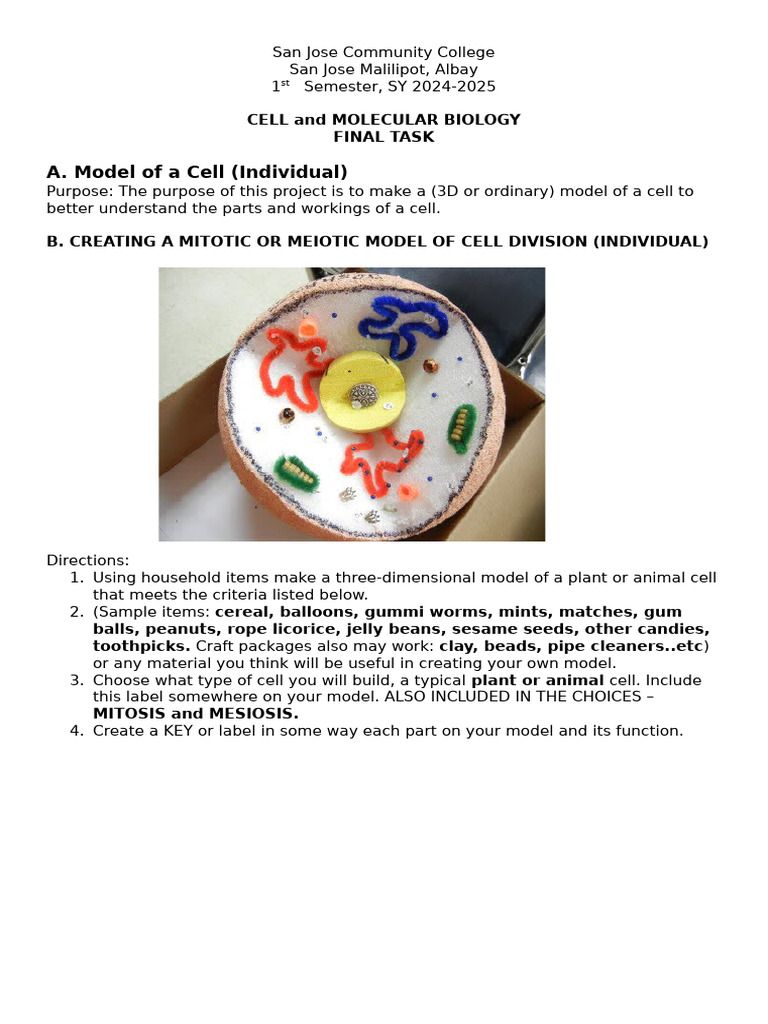 Final Task CEll and Molecular Biology | PDF