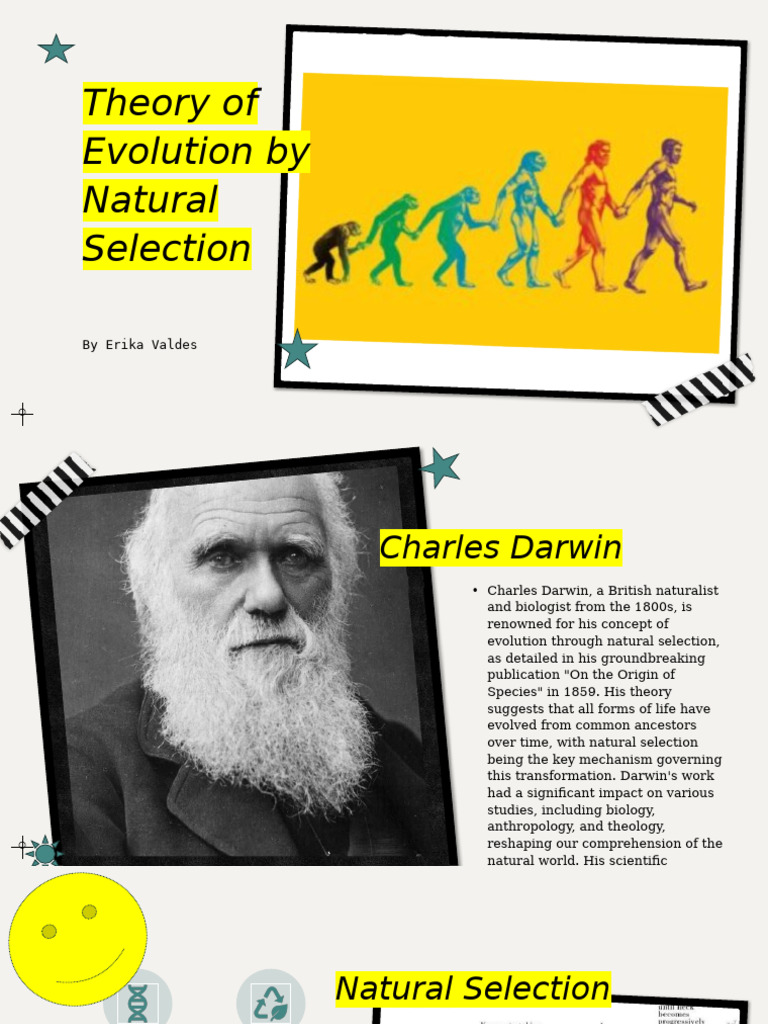 Presentation7 | PDF | Adaptation | Natural Selection