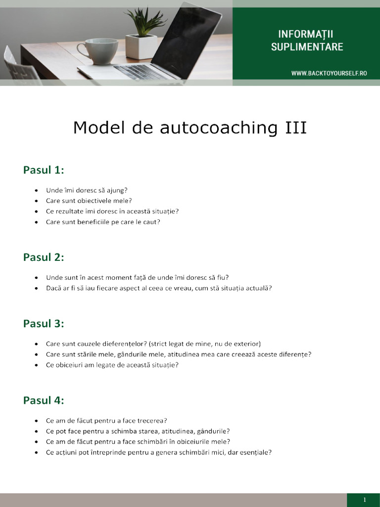 Modelul III Intrebarile | PDF