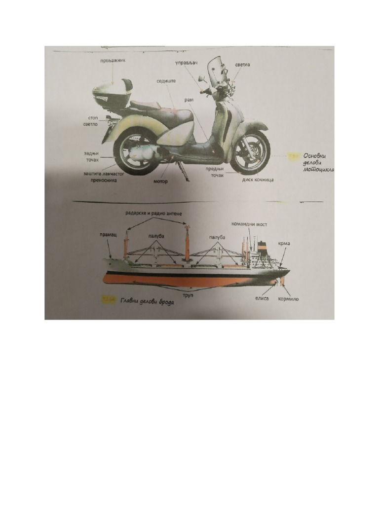 Radine Pizdarije | PDF