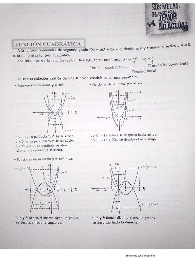 Función Cuadrática | PDF