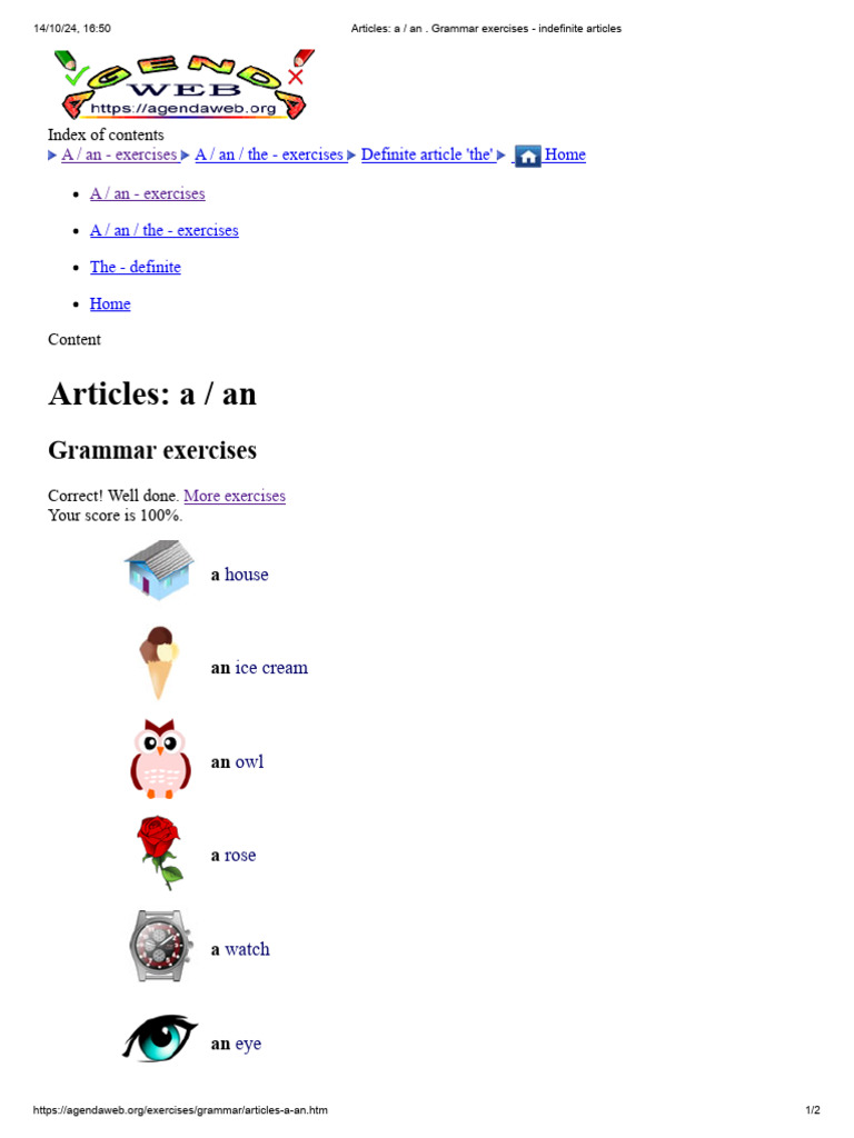Grammar Exercises for Articles: A, An, The | PDF