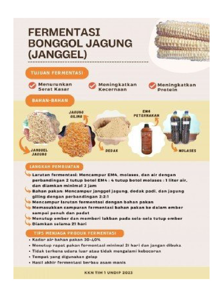 Fermentasi Bonggol Jagung | PDF