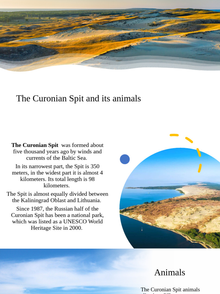 The Curonian Spit | PDF