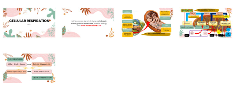 n-up-pdf_scicellularrespiration (1) | PDF | Cellular Respiration ...