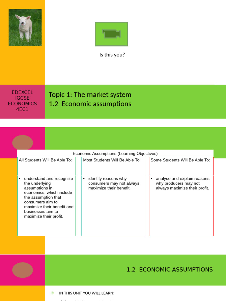 Economic Assumptions | PDF | Profit (Economics) | Economics