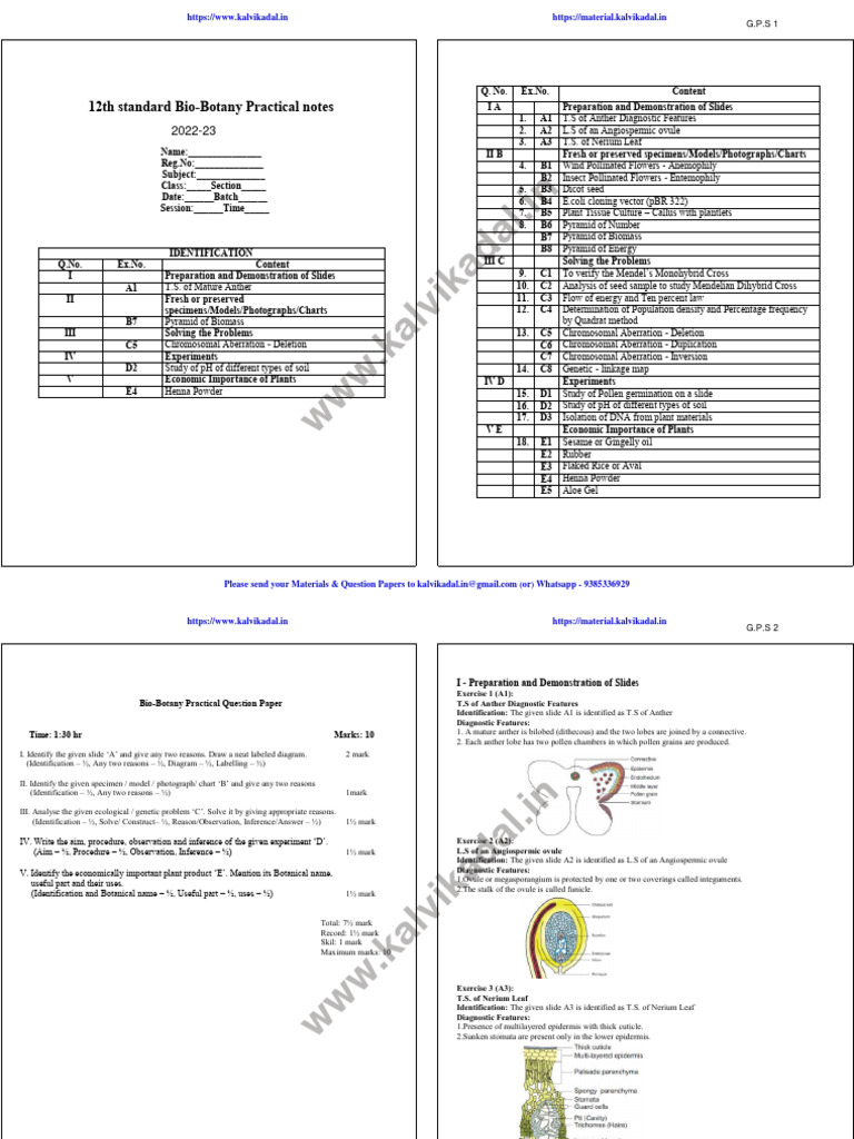 12th STD Bio-Botany EM Practical Notes 11 | PDF | Genetics