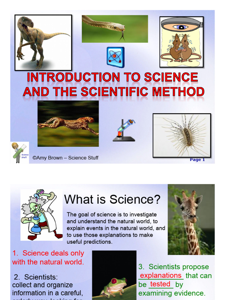 Understanding the Scientific Method | PDF | Experiment | Science