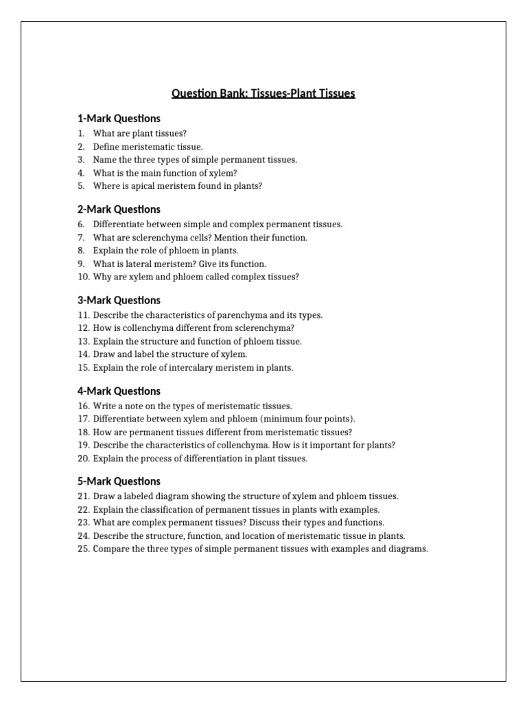 Plant Tissues Question Bank | PDF