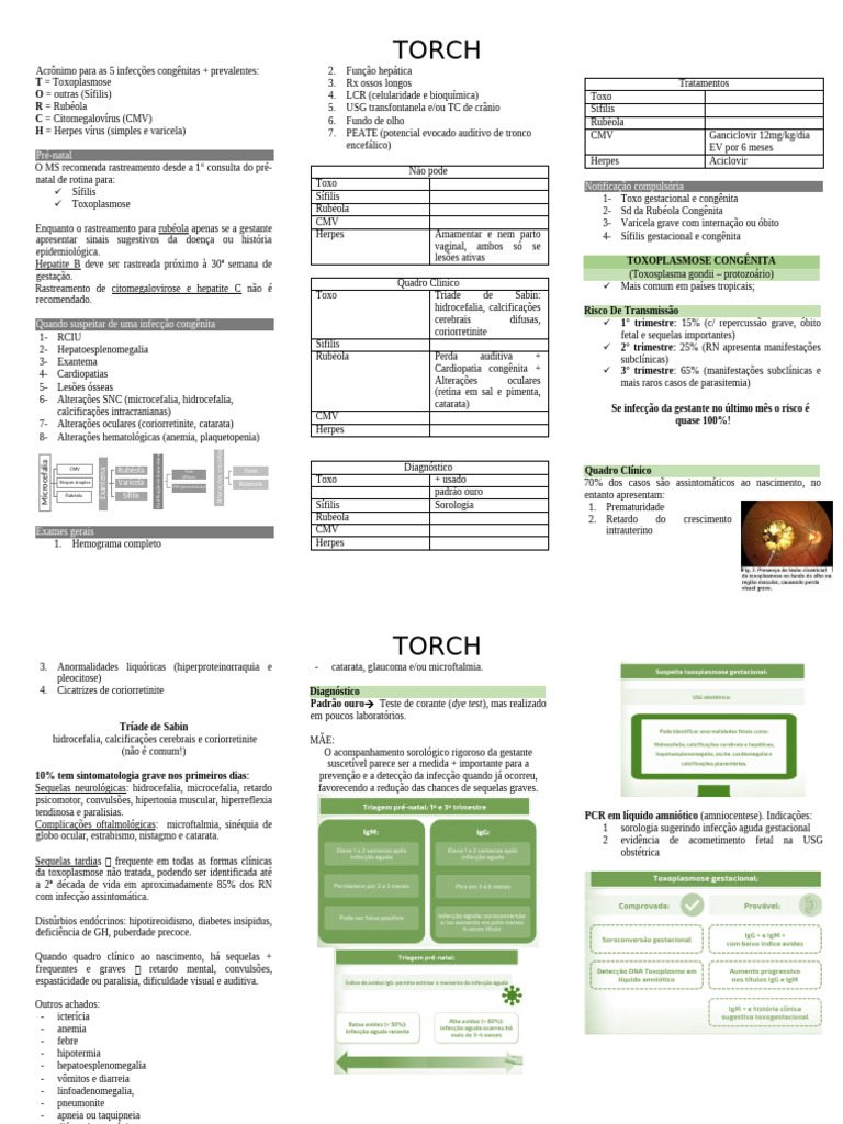 NEONATO - Infecções Congênitas (TORCH + HIV) | PDF | Gravidez ...