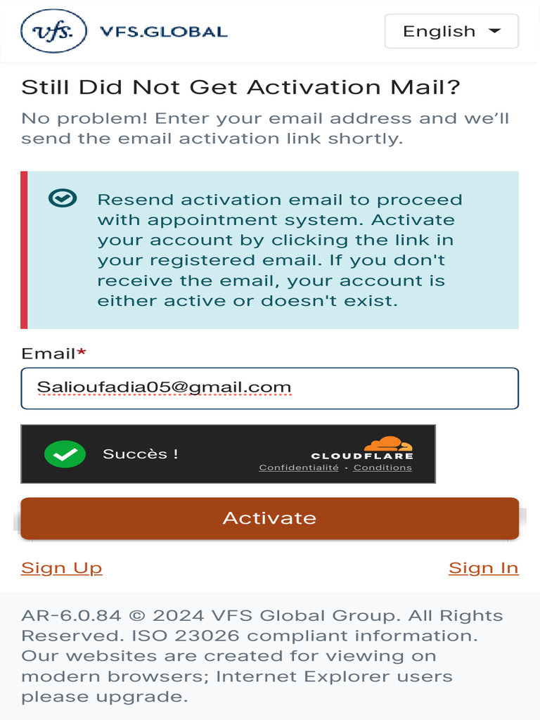 Email Activation VFS Global | PDF