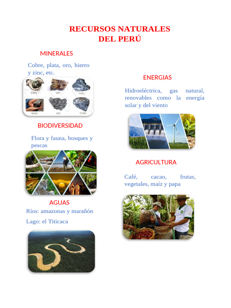 infografia samuel | PDF