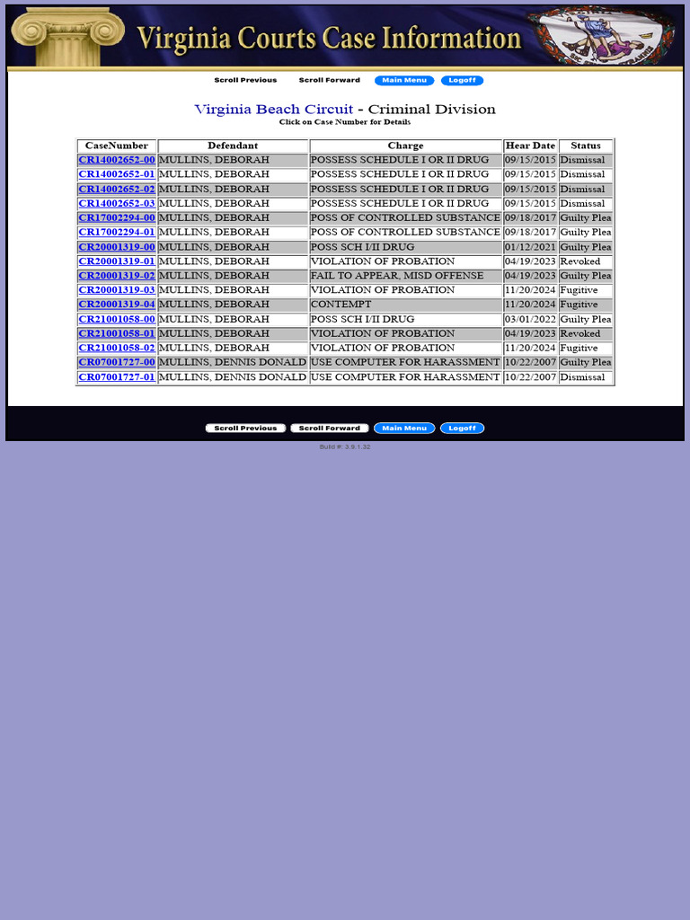 Virginia Courts Case Information | PDF