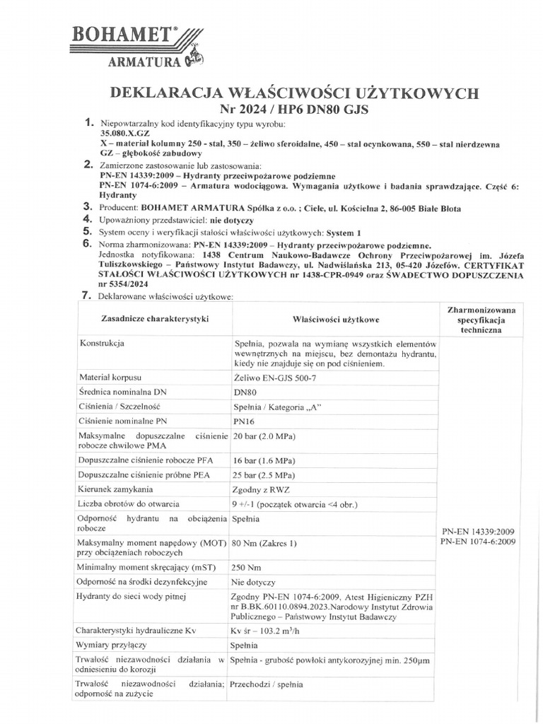 Dwu HP6 DN80 GJS 2024 3 | PDF