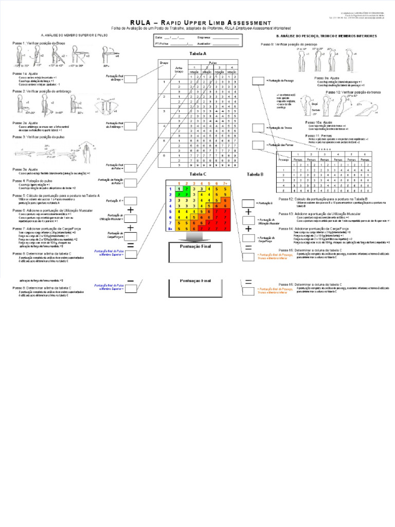 document.onl_210-10-rula-form-portugues (1) | PDF
