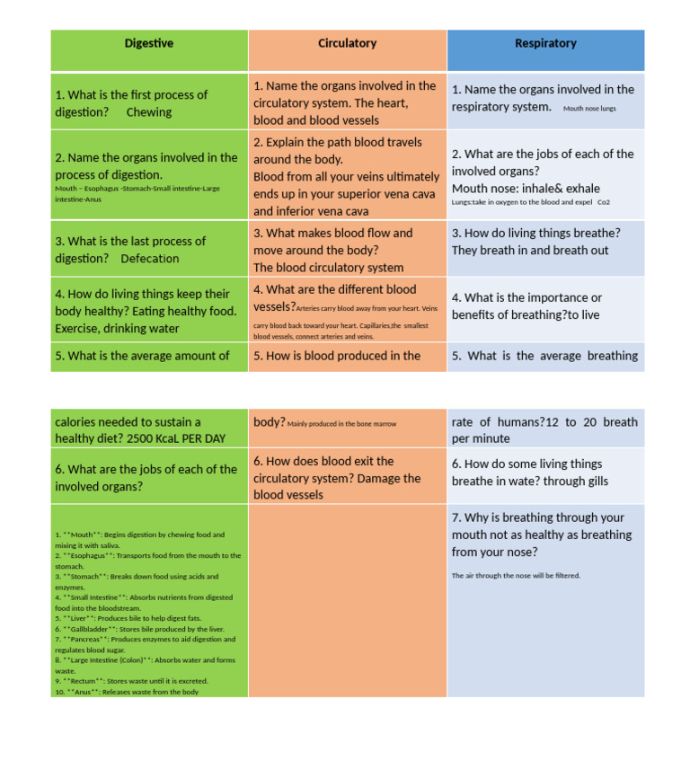 Digestive, Circulatory, Respiratory Systems Overview | PDF | Digestion ...