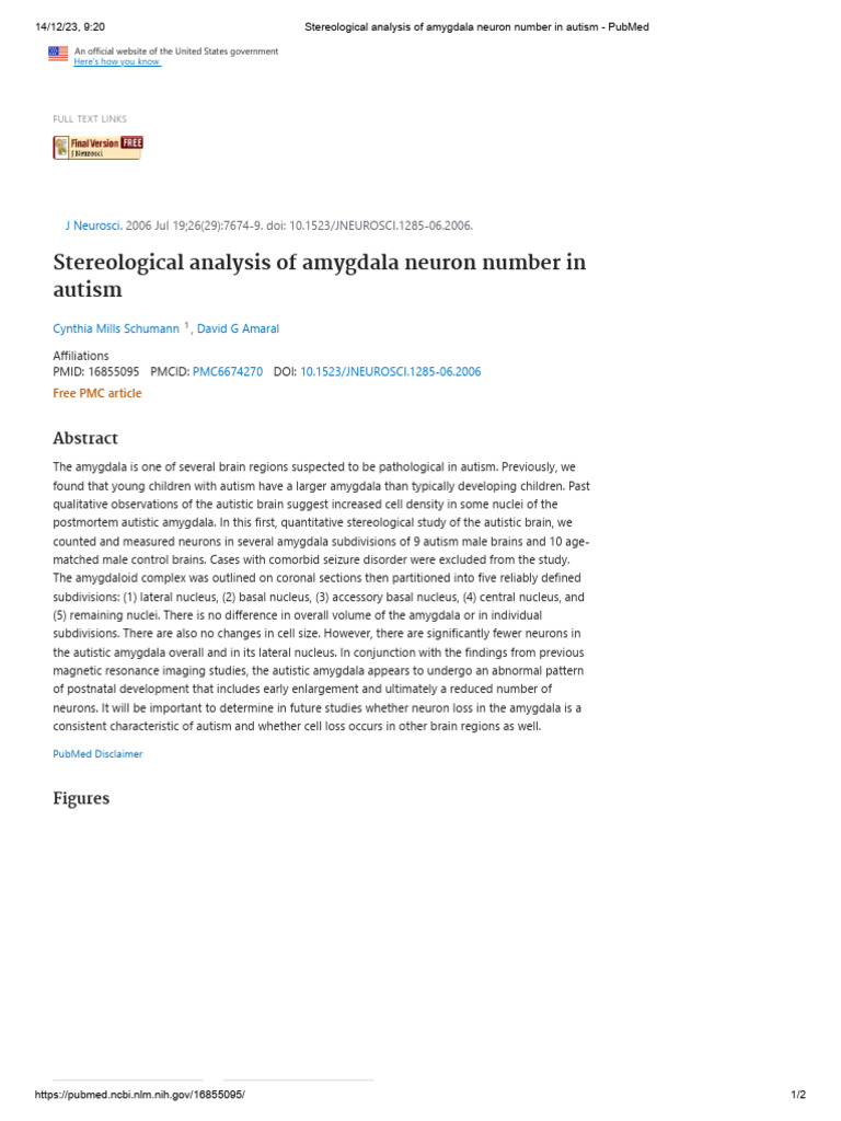 Amygdala Neuron Count in Autism Study | PDF | Amygdala | Autism Spectrum