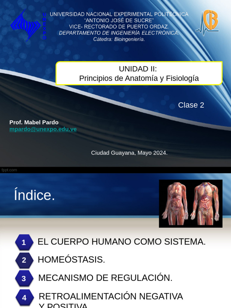 Unidad II - Clase2 | PDF | Homeostasis | Realimentación