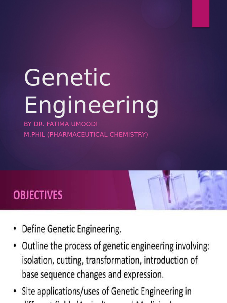 Genetic Engineering for Insulin Production | PDF