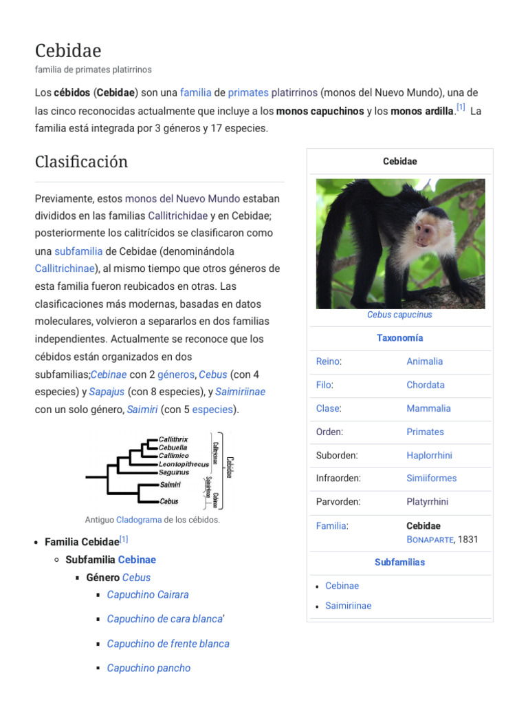 Cebidae - Wikipedia, La Enciclopedia Libre | PDF | Taxonomía de ...