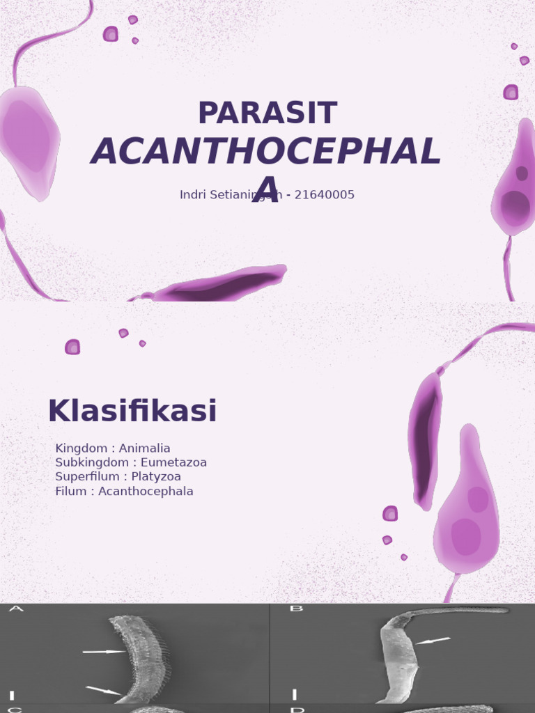 Parasit Serangga | PDF