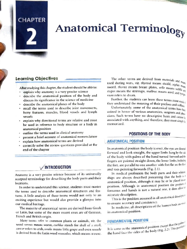 Anatomical Terminology RACHANA LAB | PDF | Anatomical Terms Of Motion ...